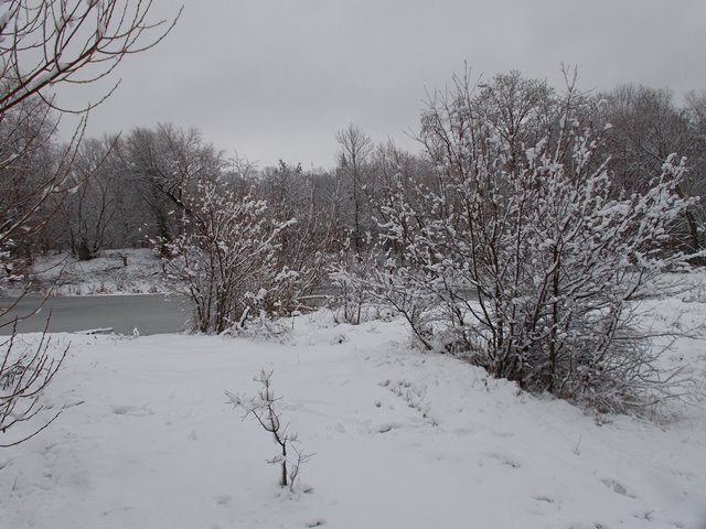 Fotoreportáž z vycházek ke Světovému dni mokřadů 2019 • Česká ...