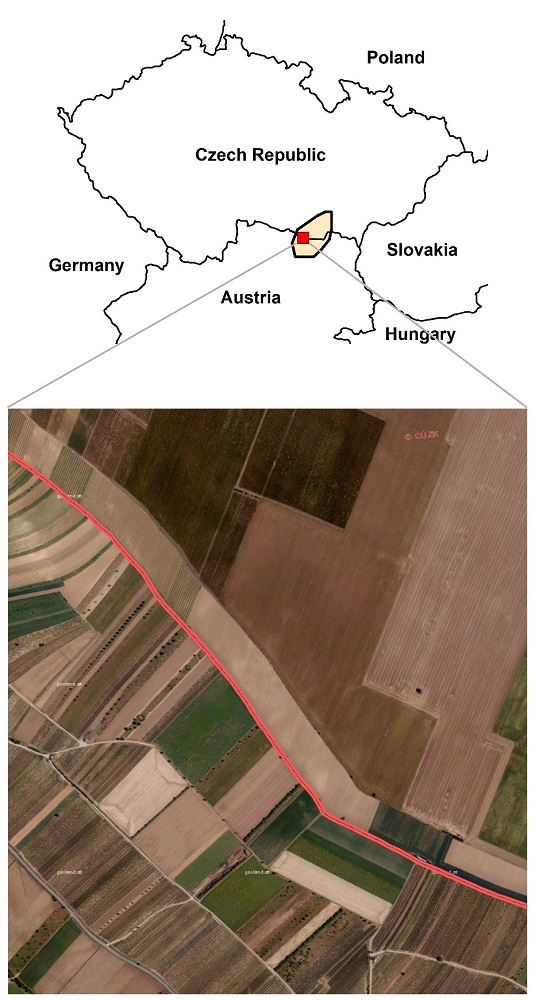 Ptákům i zajícům se lépe daří v menších polích. Česká to nejsou ...