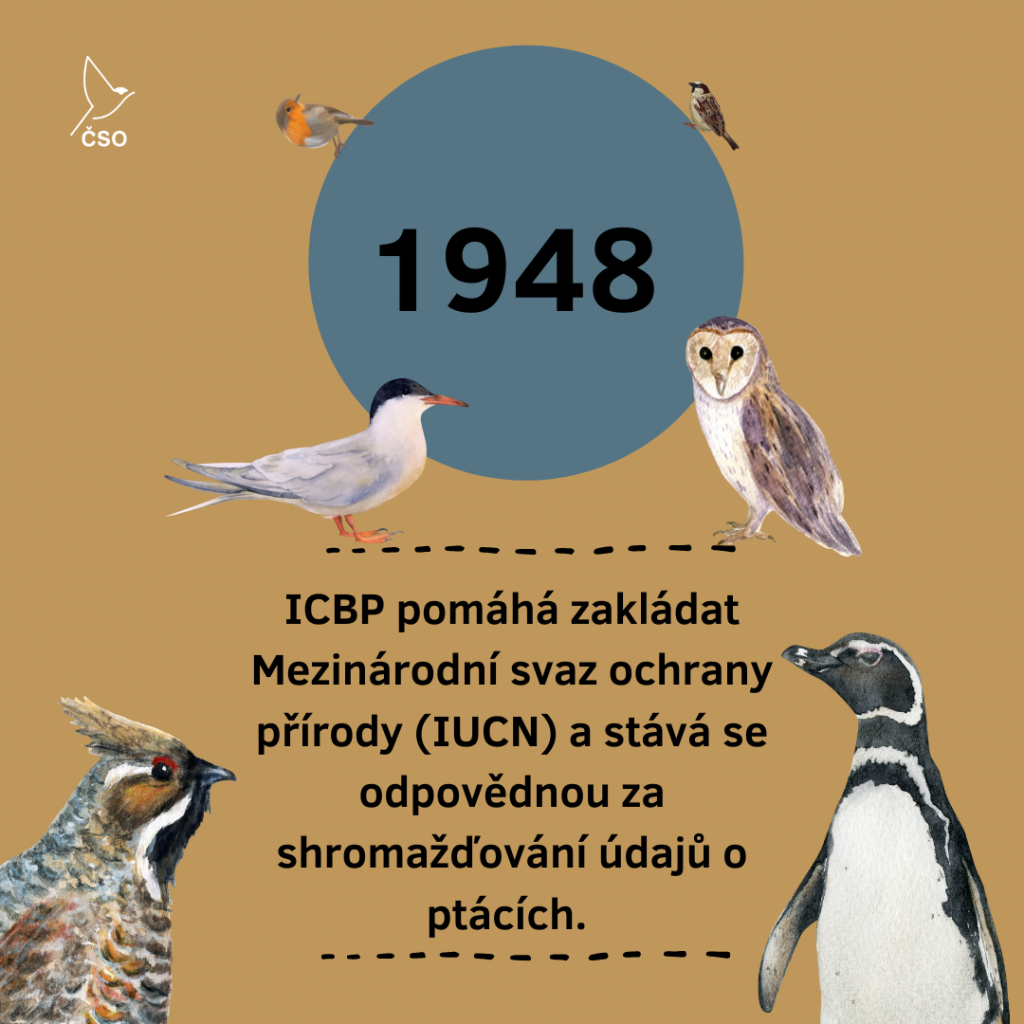 Birdlife International slaví 100 let • Česká společnost ornitologická