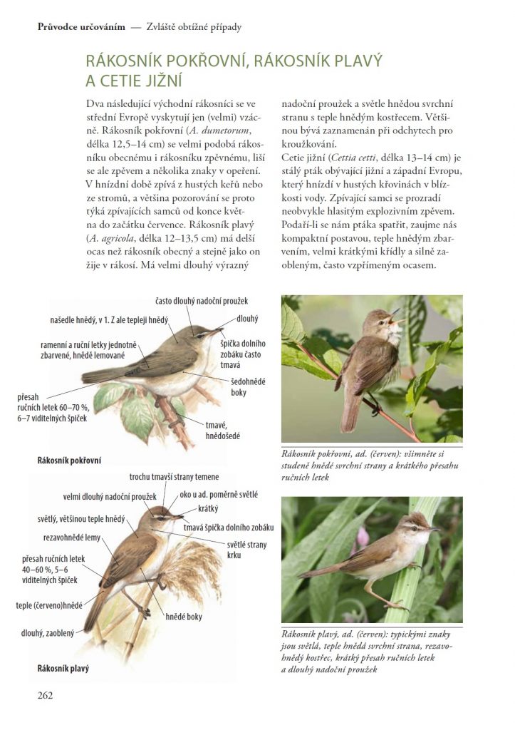 Recenze: Leander Khil: Příručka k pozorování ptáků • Česká společnost ...