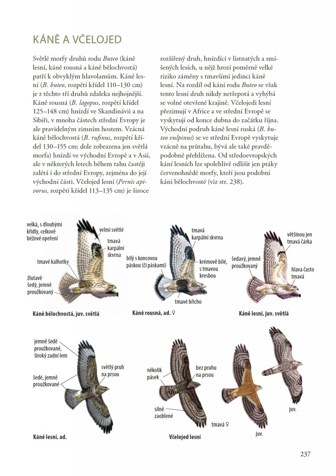 Recenze: Leander Khil: Příručka k pozorování ptáků • Česká společnost ...