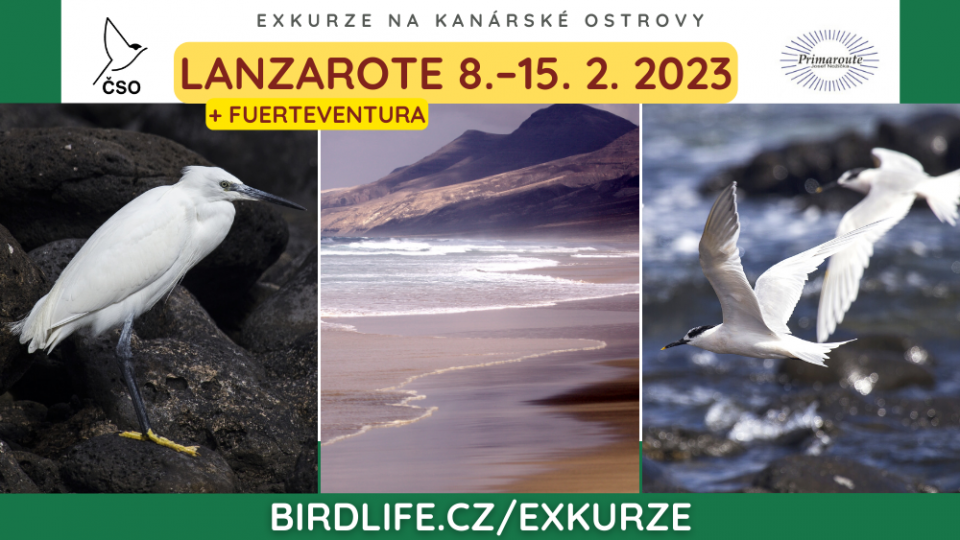 Darovací certifikát • Česká společnost ornitologická