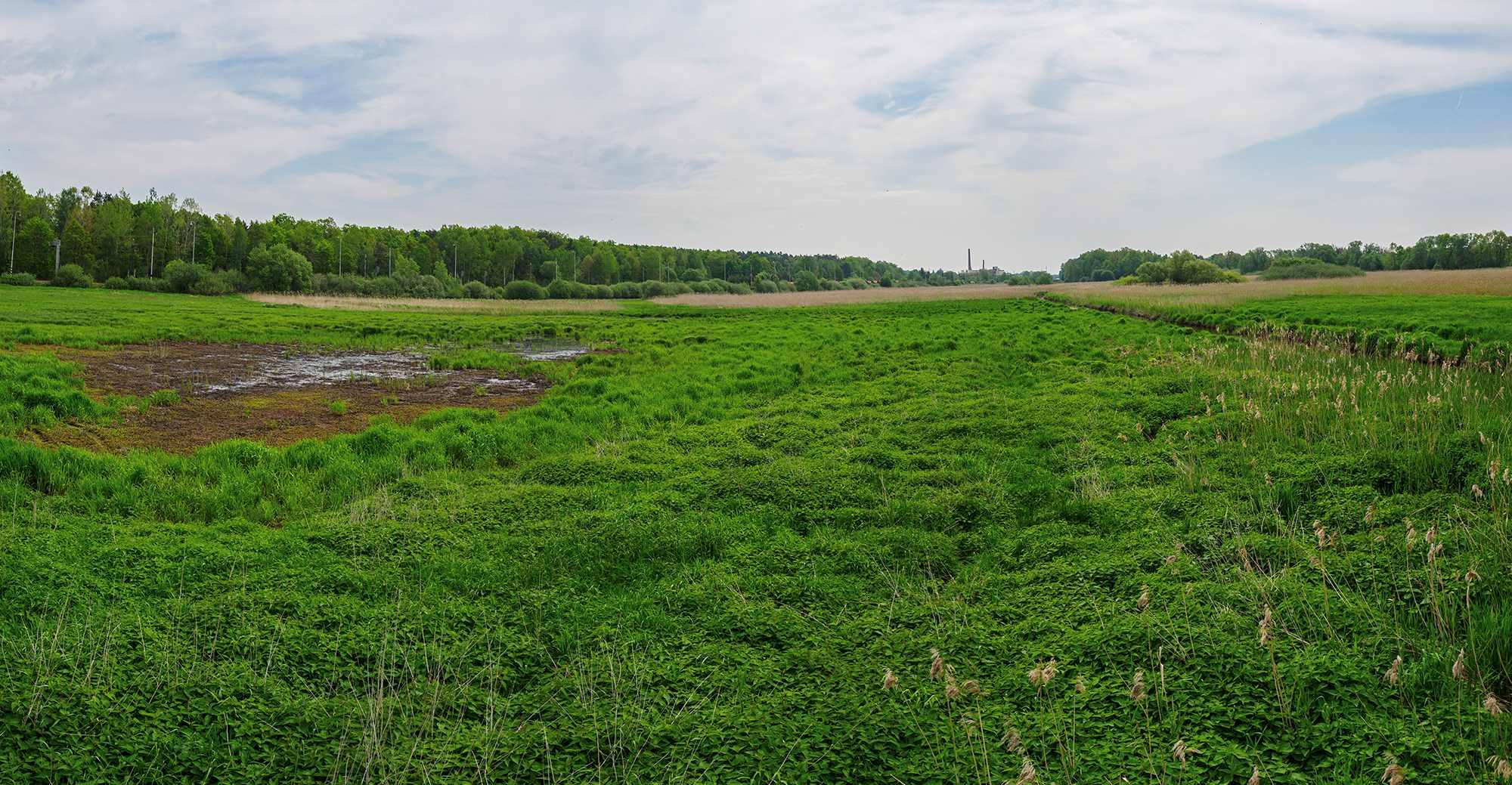 Připravujeme pátý ptačí park - legendární Zbudovská blata • Česká ...